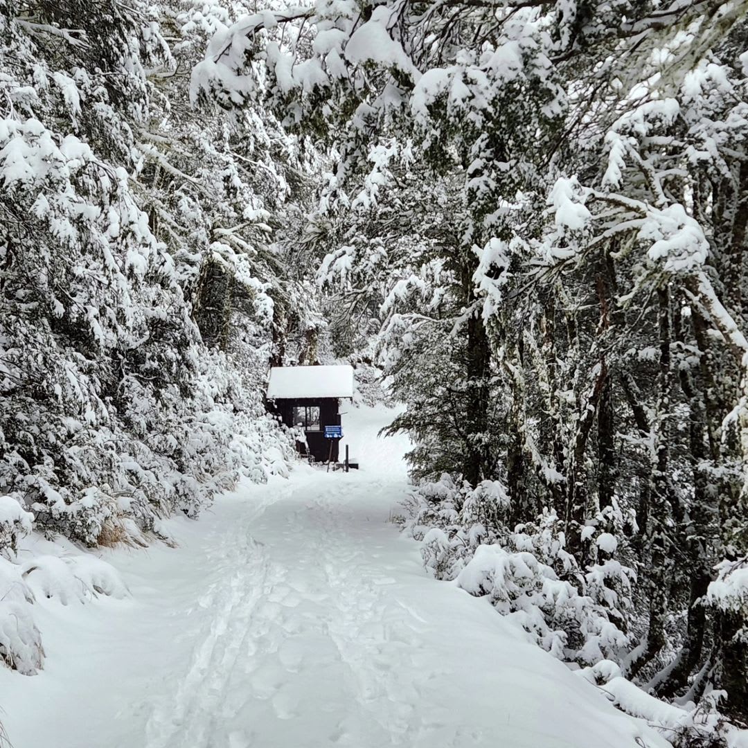 Ski Resort Gives Brutally Honest Opening Day Conditions Report ...
